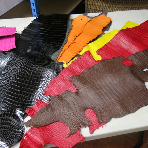 Crocodile Skins 14th December 2017 – G.J.Wisdom & Co